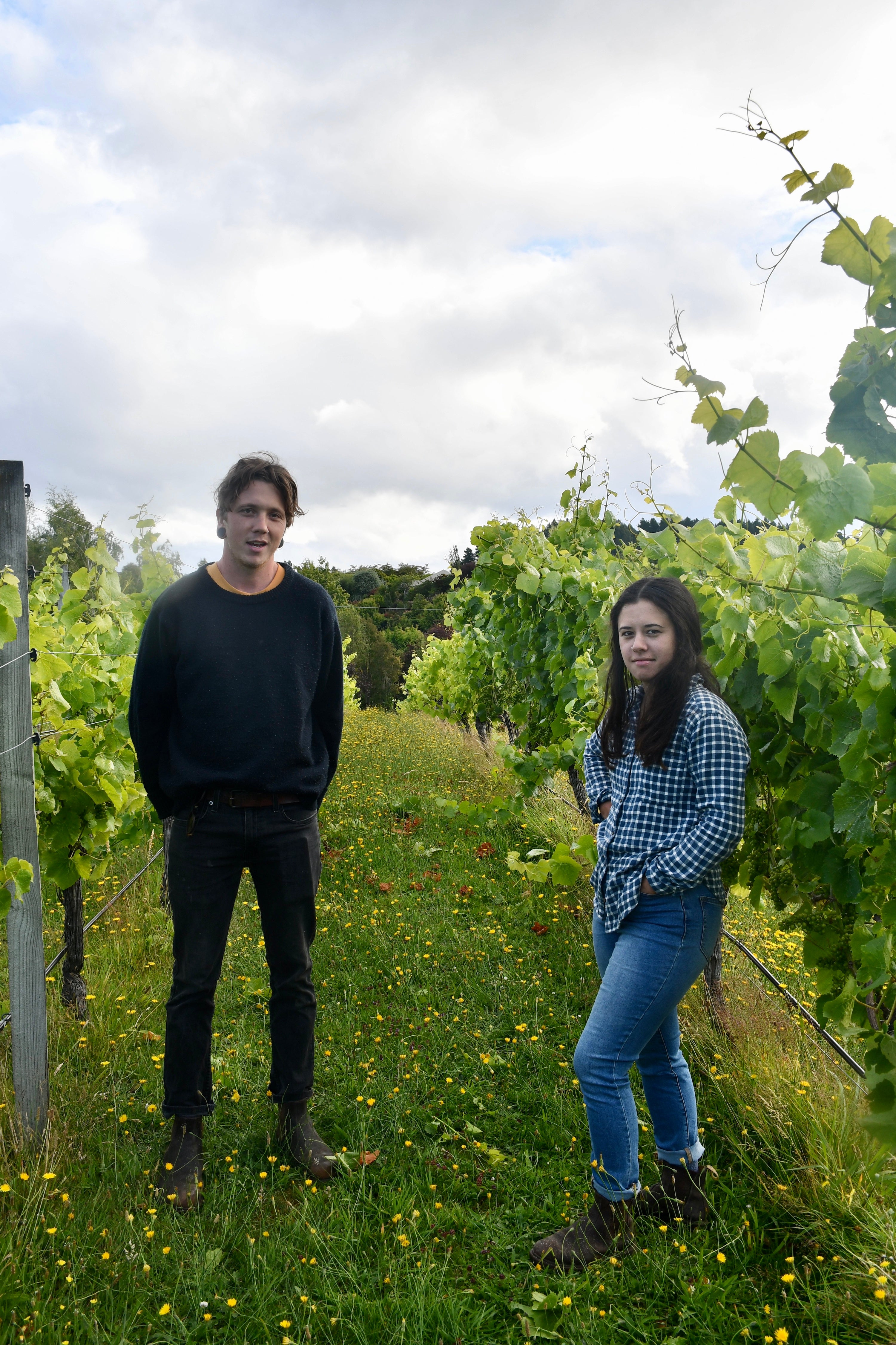 Q + A with Brood Fermentation, Nelson – Everyday Wine
